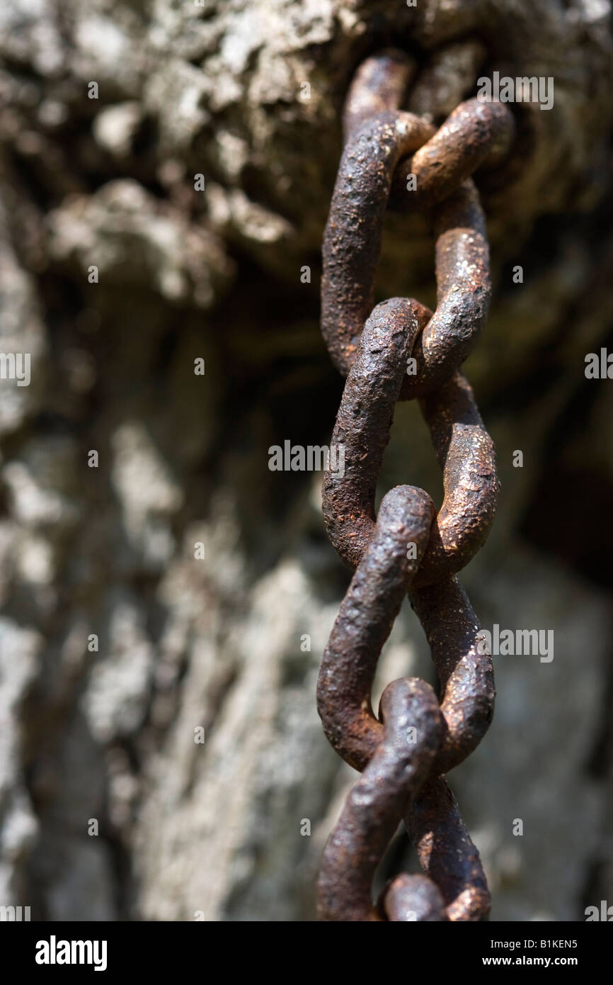 Old rusty chain hanging from the tree hi-res Stock Photo - Alamy Old rusty chain hanging from the tree hi-res Stock Photo - Alamy
