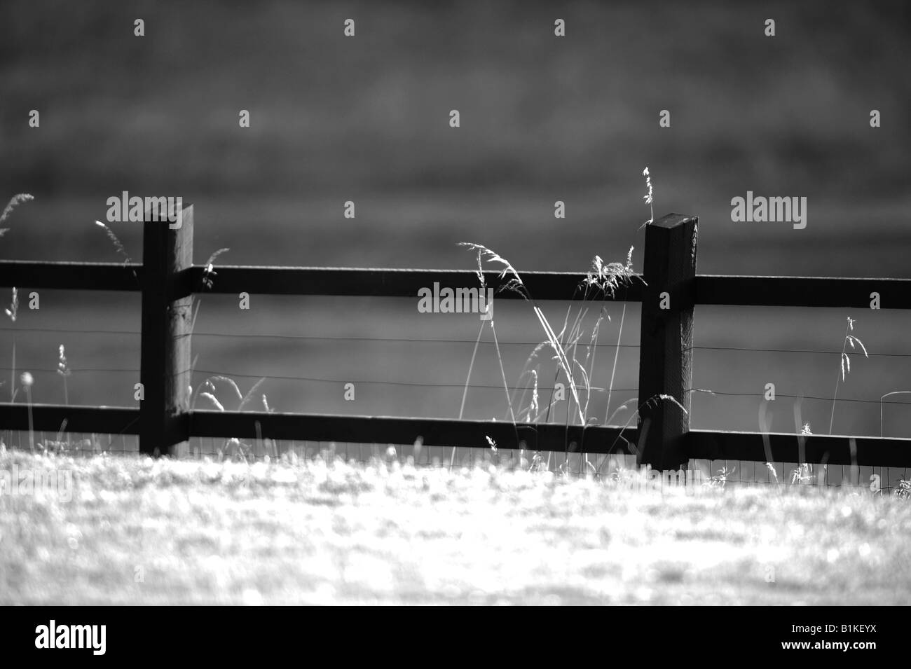 English crop field Black and White Stock Photos & Images - Alamy