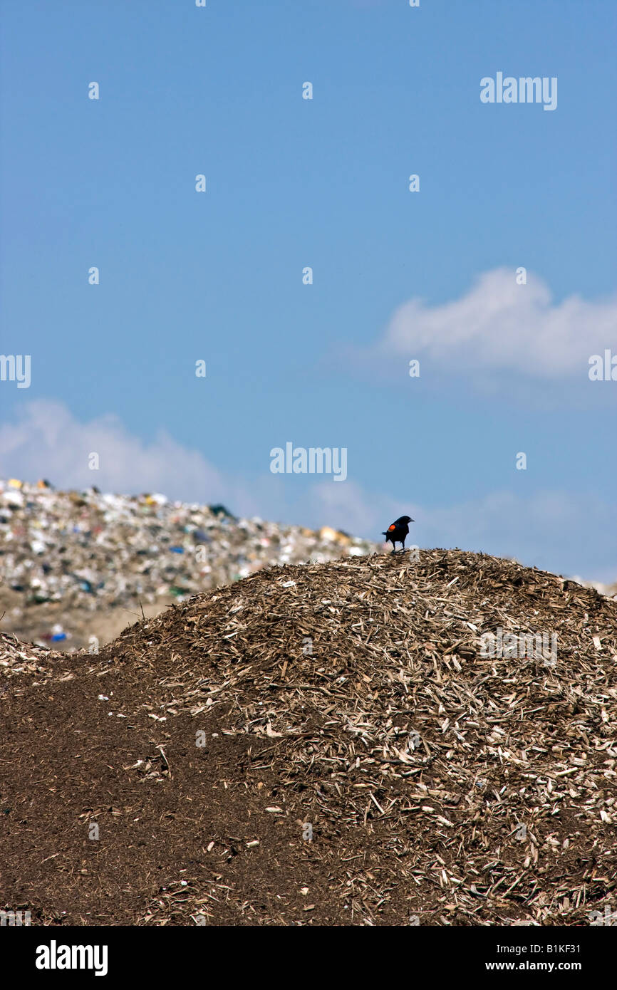 Municipal waste site dump heaps of solid landfill rubbish dumps heaps ...