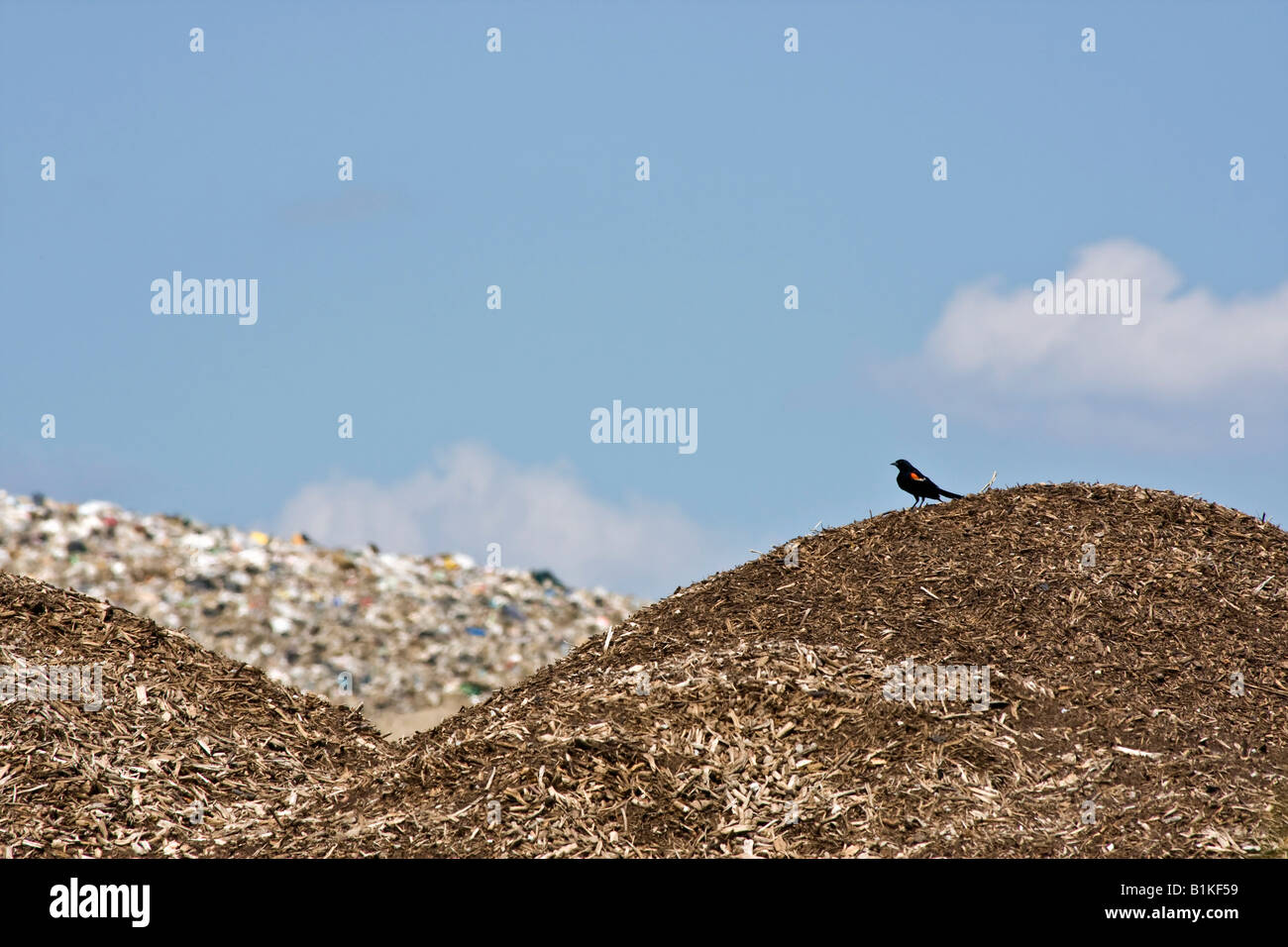 Municipal solid waste landfill hi-res stock photography and images - Alamy