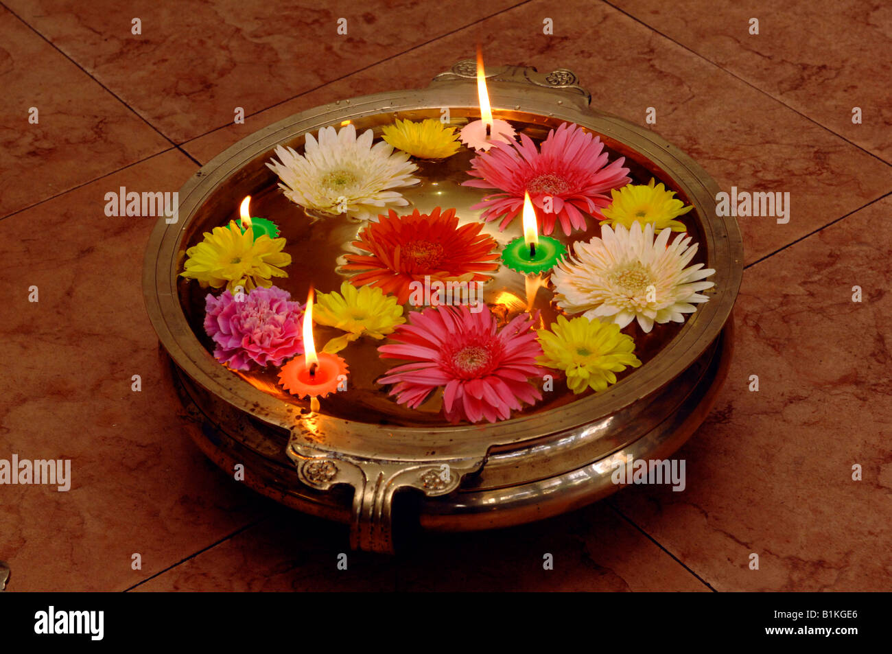 Leen flower hi-res stock photography and images - Alamy