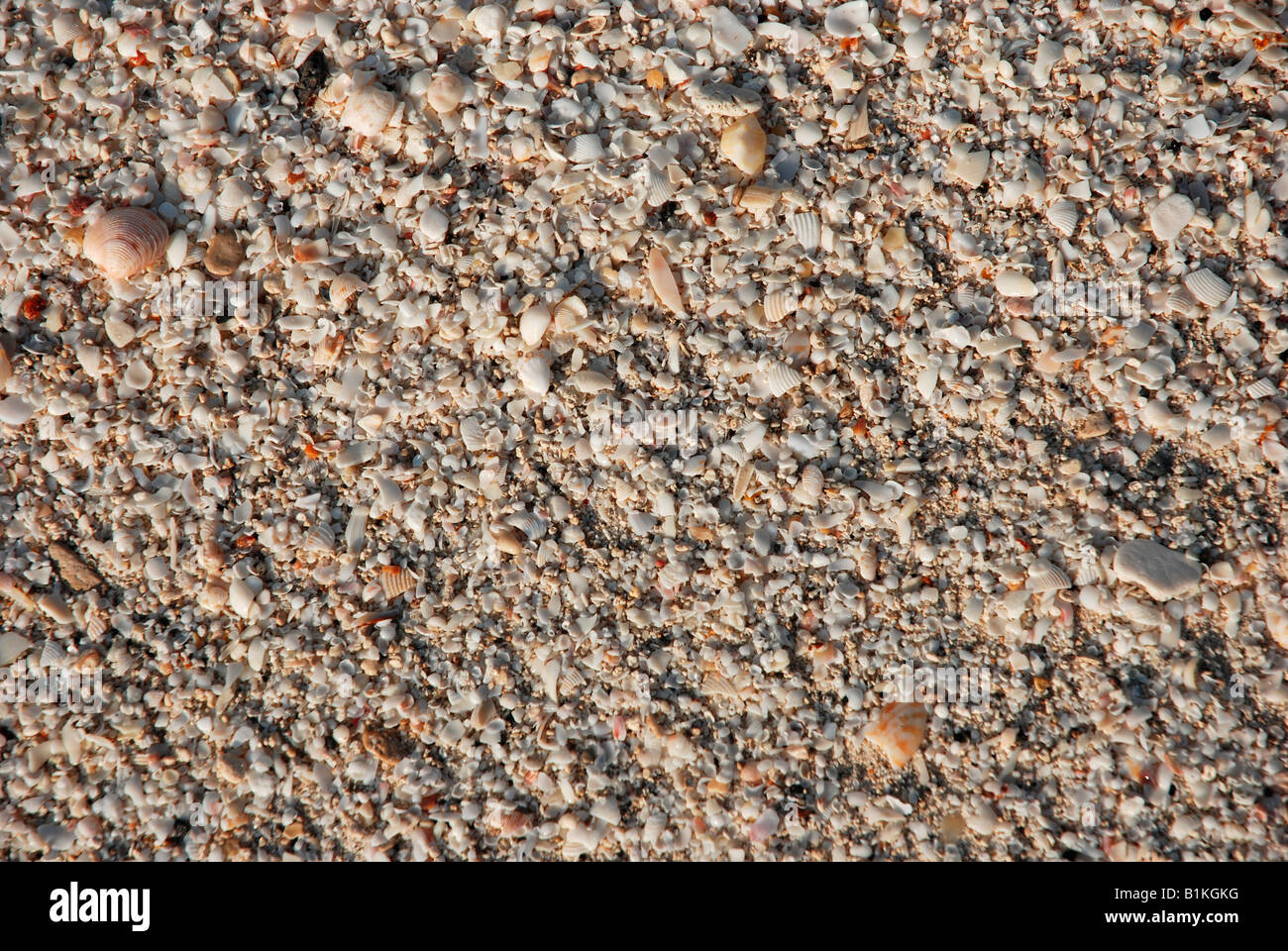 Beach sand texture Cancun Mexico Stock Photo - Alamy