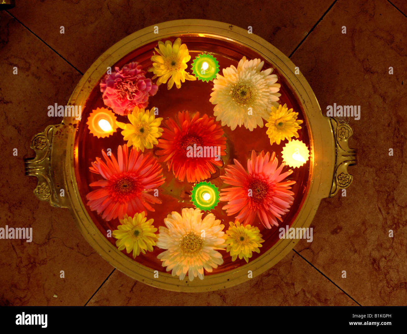 Leen flower hi-res stock photography and images - Alamy