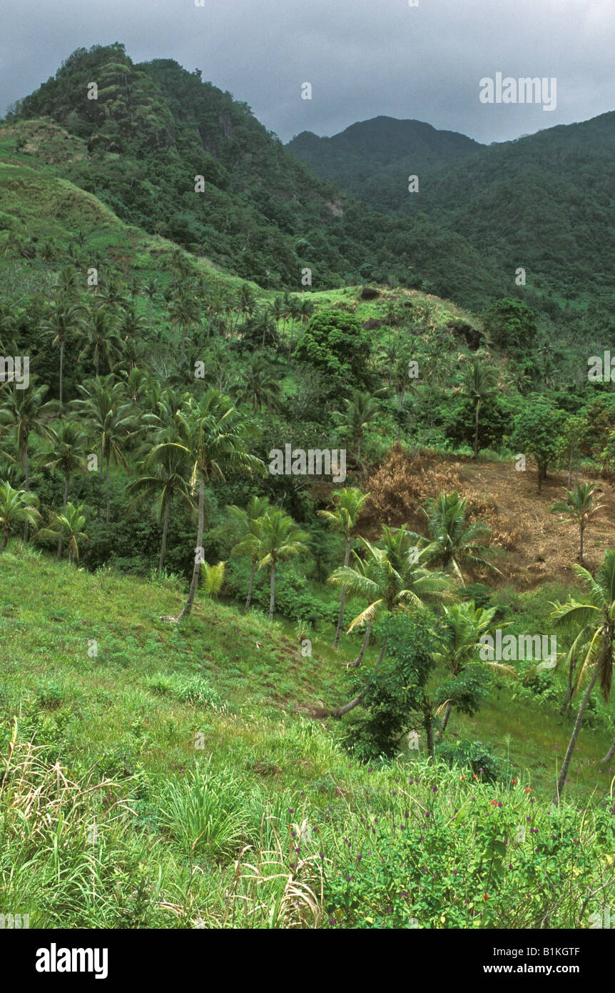 Levuka Ovalau Island Fiji Stock Photo - Alamy