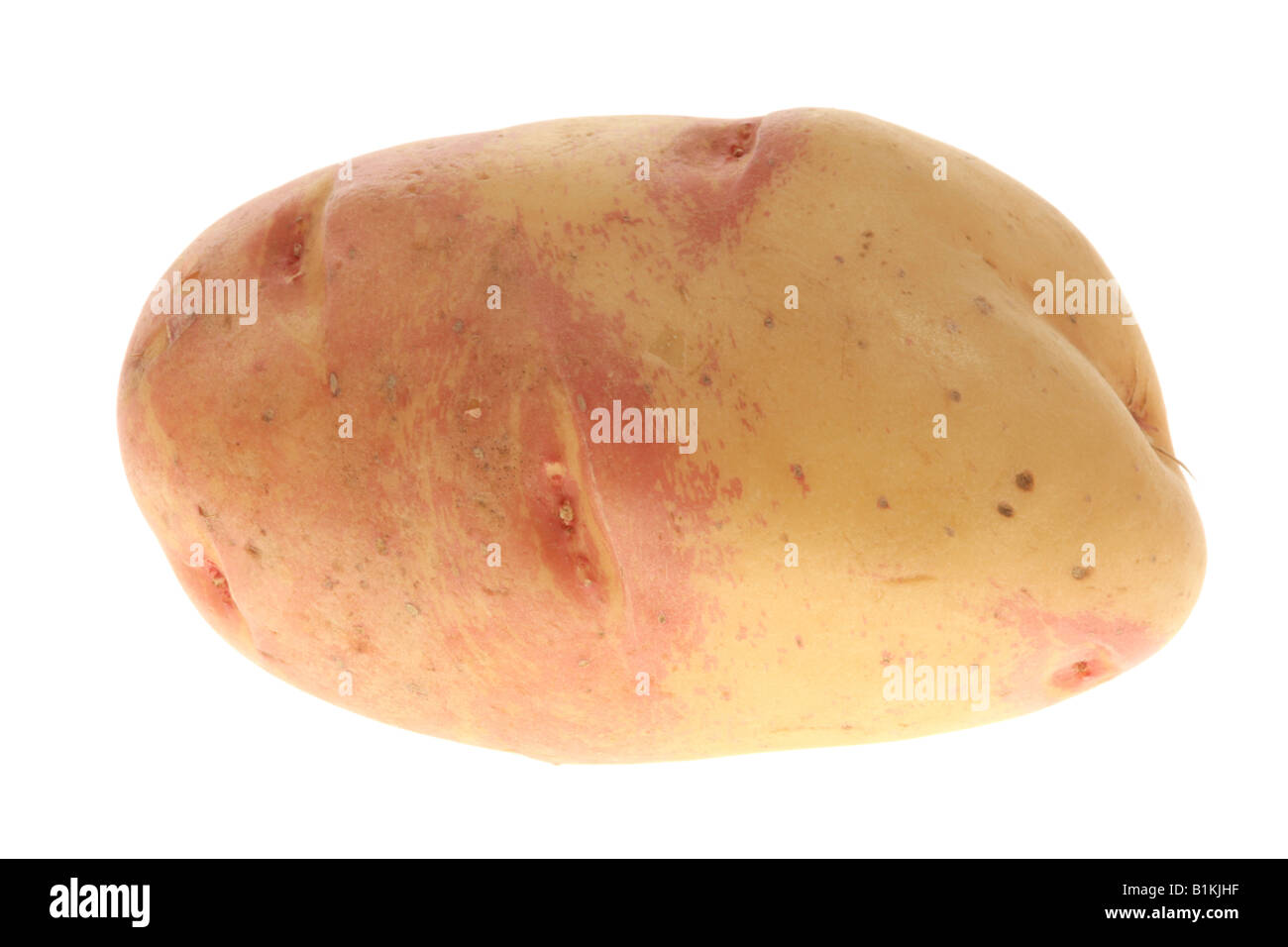 Fresh Healthy Raw Uncooked Potato, With No People Isolated On White ...