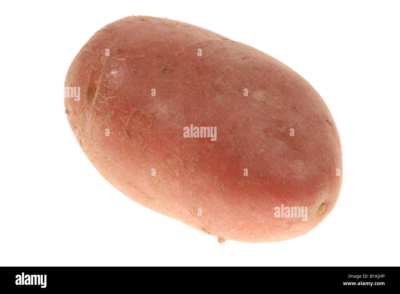 Fresh Healthy Raw Uncooked Potato, With No People Isolated On White ...