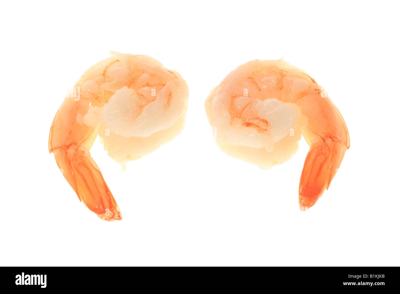 Atlantic prawns cut out hi-res stock photography and images - Alamy