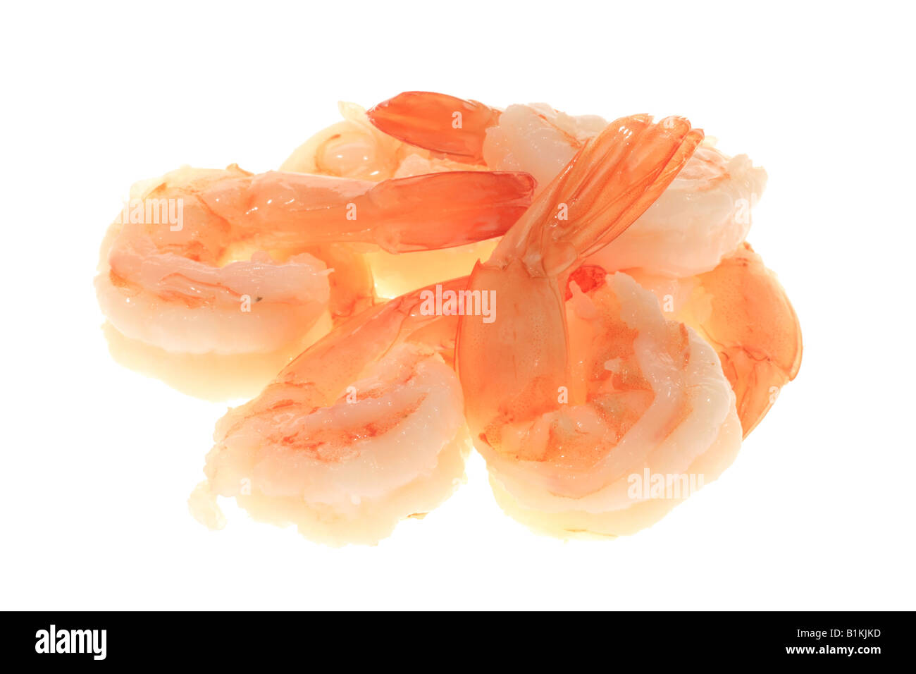 Atlantic prawns cut out hi-res stock photography and images - Alamy