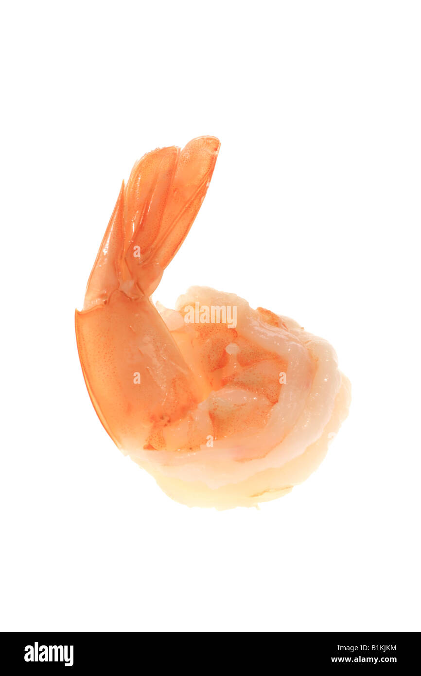 Atlantic prawns cut out hi-res stock photography and images - Alamy
