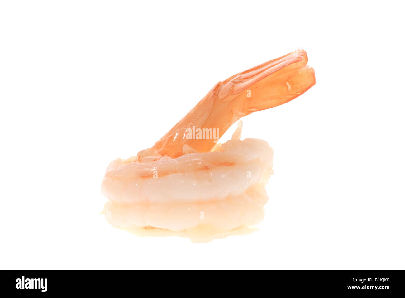 Fresh Cooked Healthy Atlantic Prawns Isolated Against A White ...