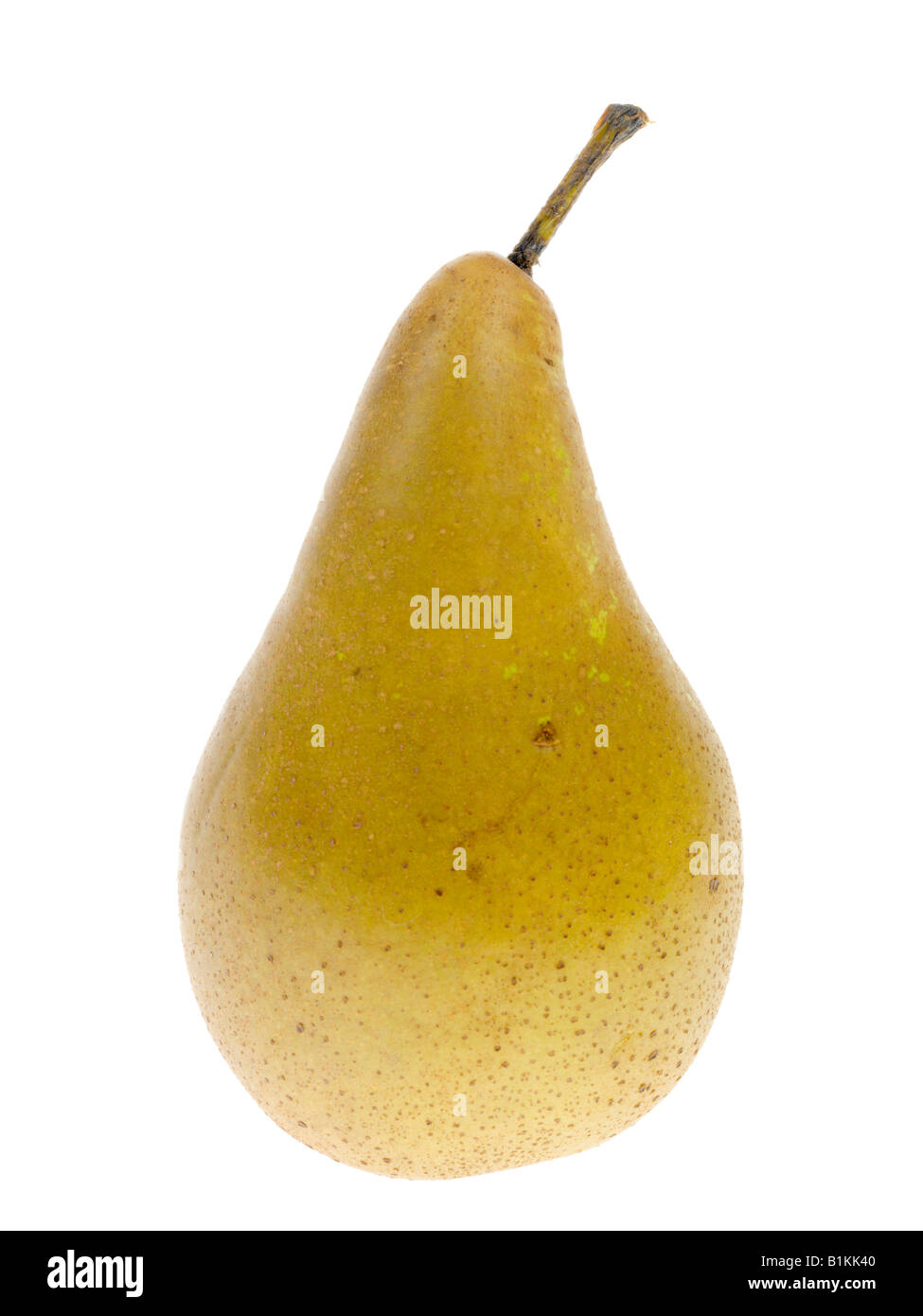 Conference pears pear fruit Cut Out Stock Images & Pictures - Alamy