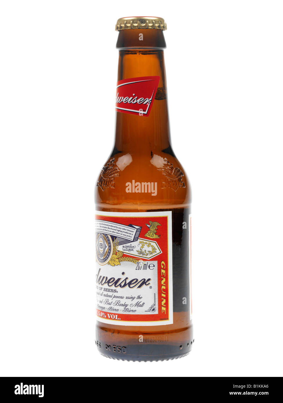 Bottle of Beer Stock Photo - Alamy