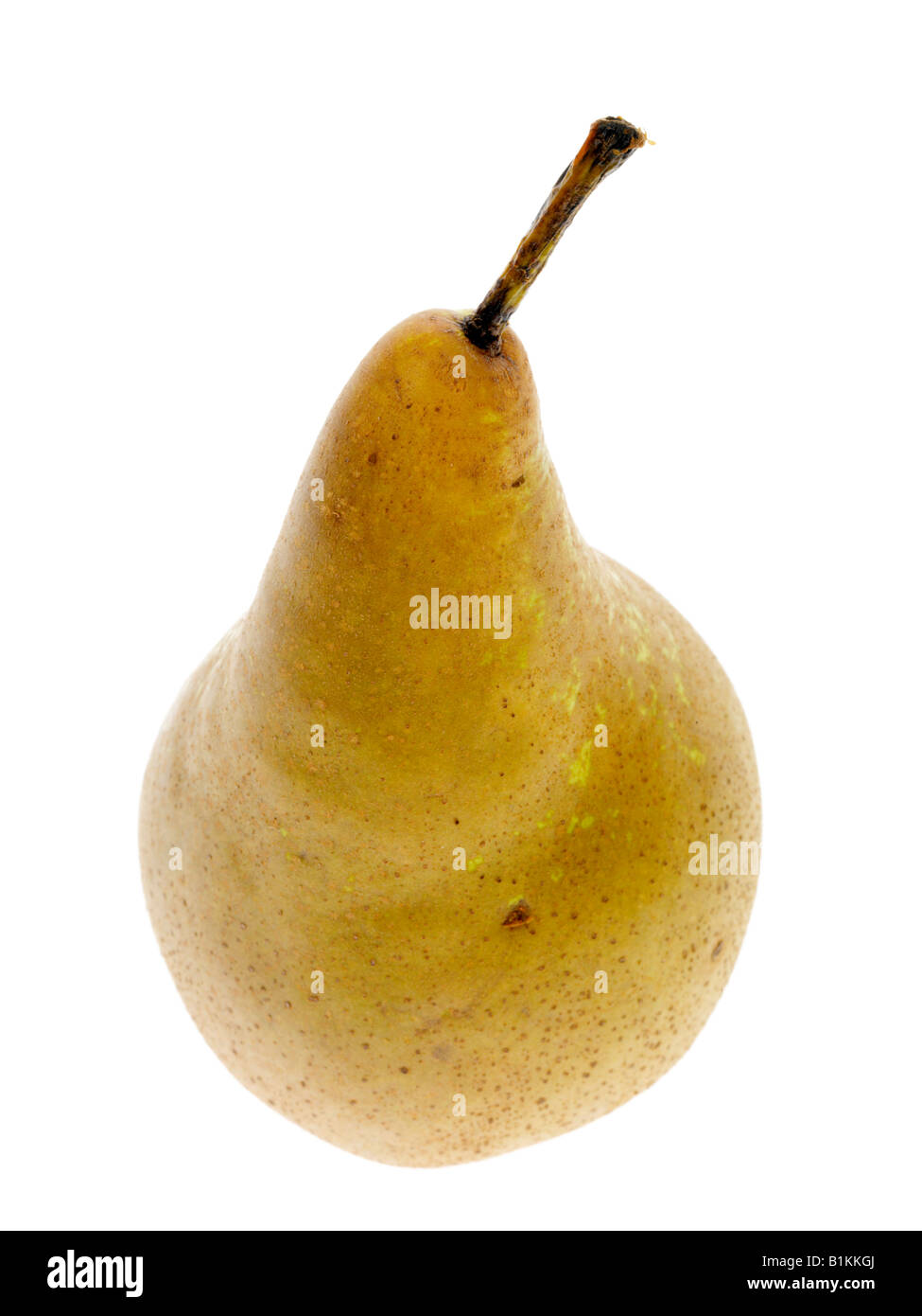 Conference pears pear fruit Cut Out Stock Images & Pictures - Alamy