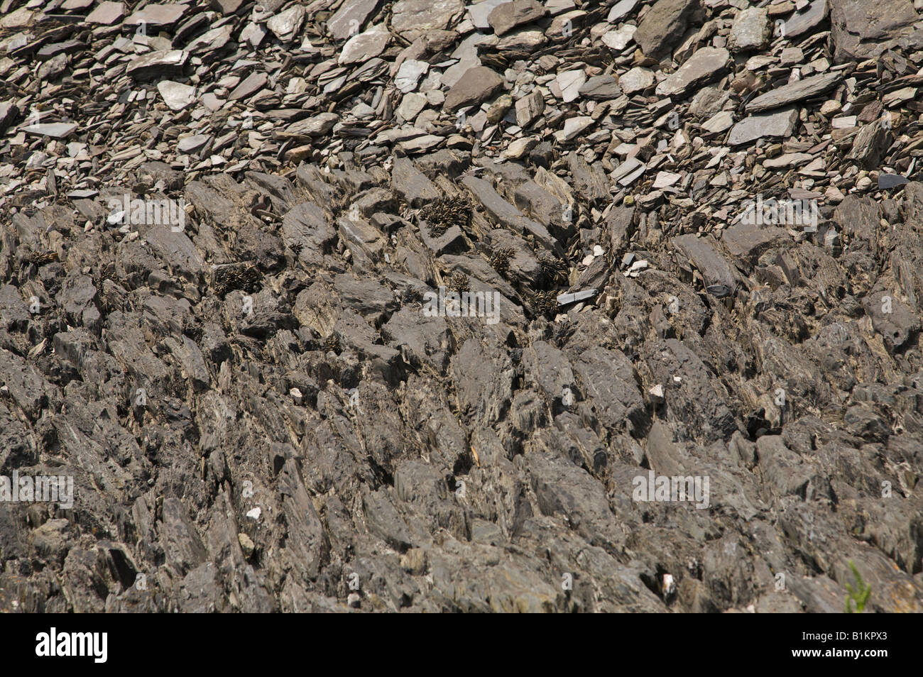 Shoreline patterns hi-res stock photography and images - Alamy