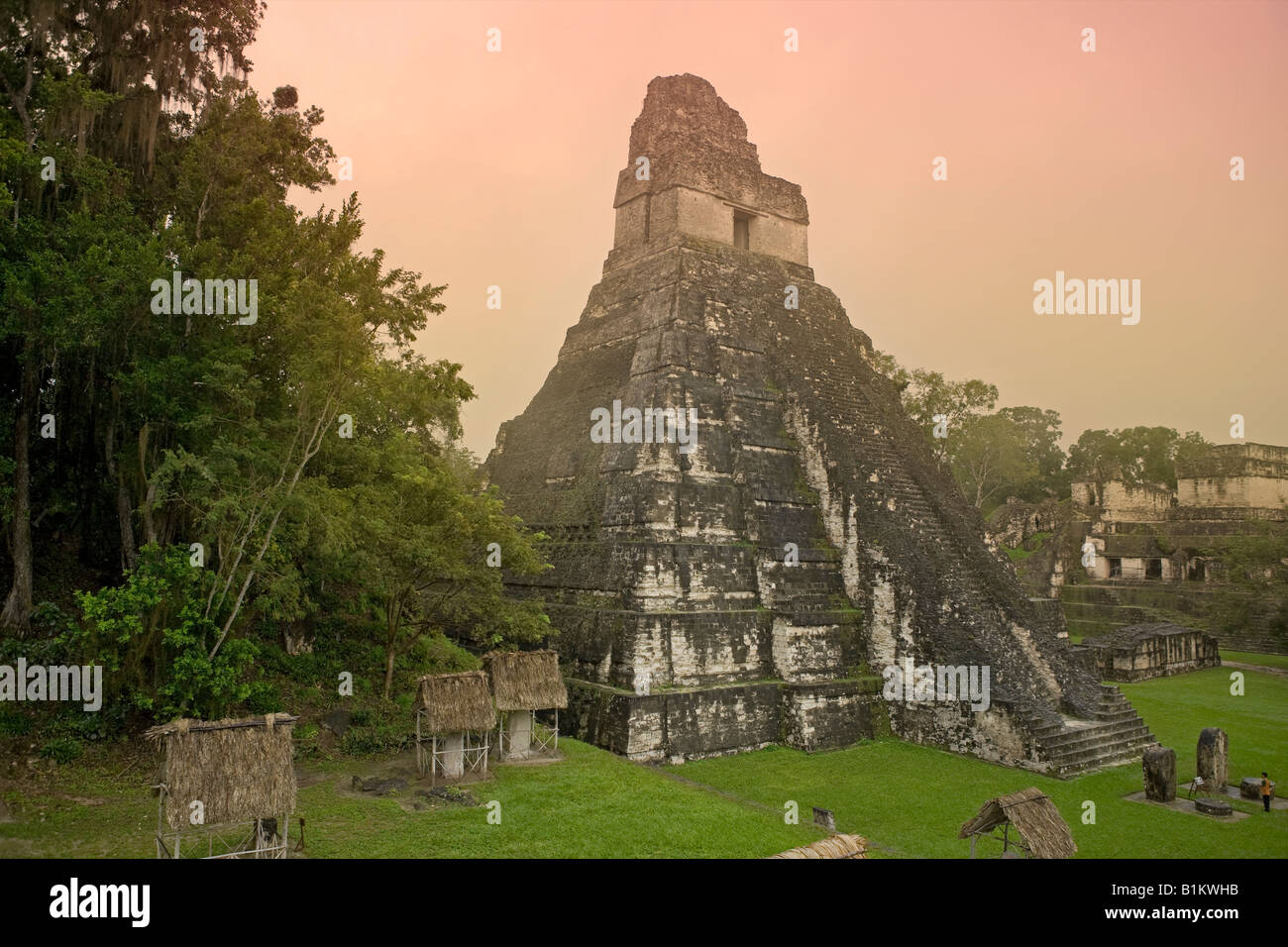 Tikal Pyramid ruins UNESCO site Guatemala Stock Photo - Alamy