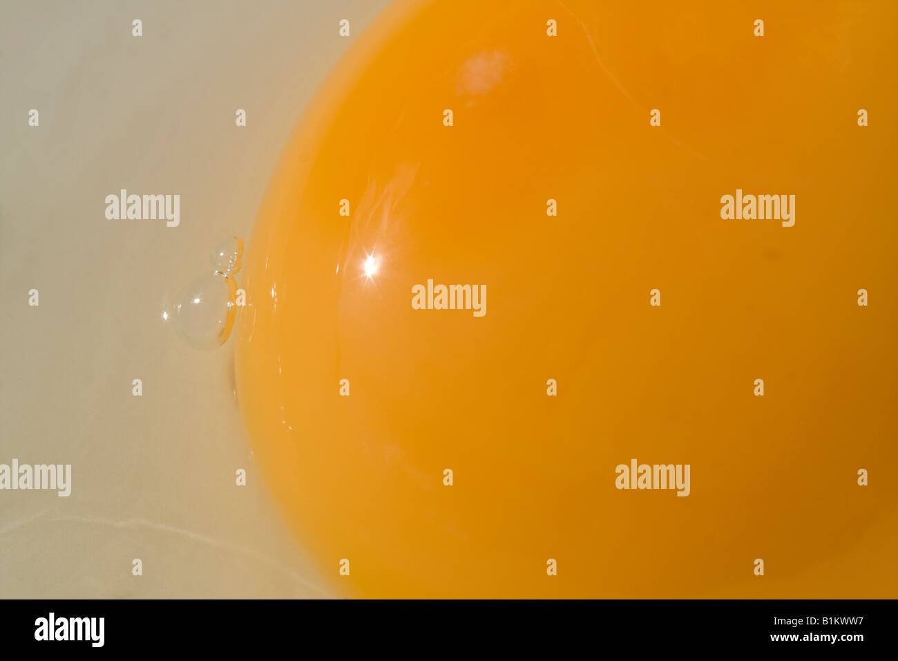 egg close up Stock Photo - Alamy