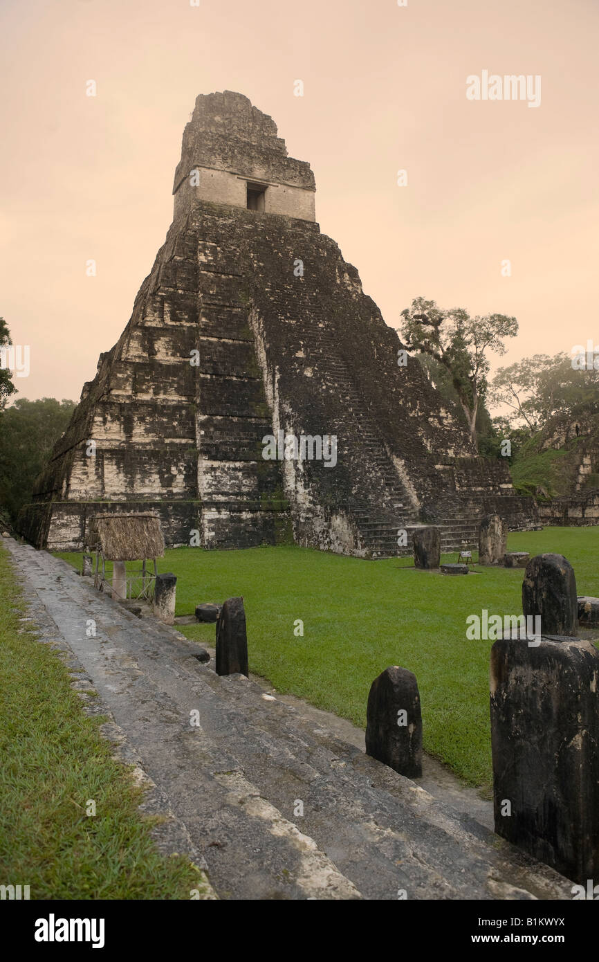 Tikal Pyramid ruins UNESCO site Guatemala Stock Photo - Alamy