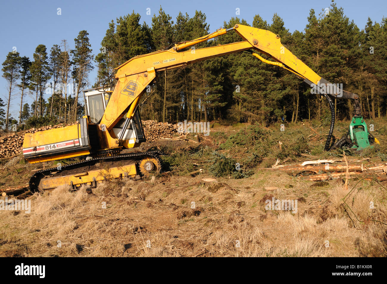 JCB forestry branch cutter prior to logging Llyn Lech Owen Wales Stock ...