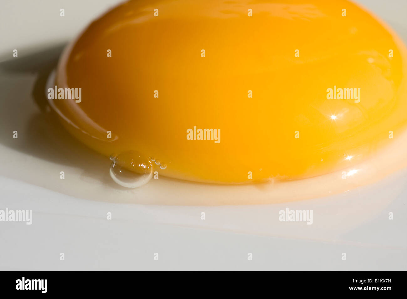egg close up Stock Photo - Alamy