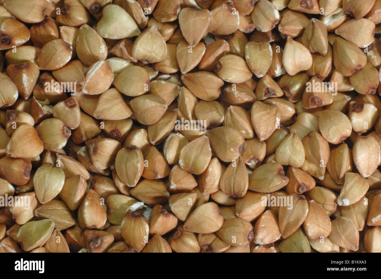 From above crop medical hi-res stock photography and images - Alamy