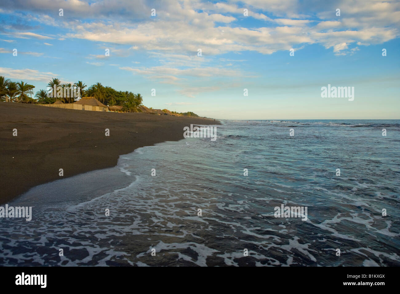 Guatemala Monterrico Stock Photos & Guatemala Monterrico Stock Images ...