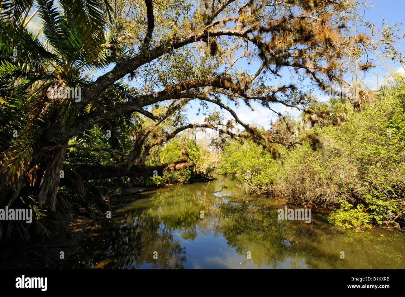 Koreshan State Historic Park Estero Florida Stock Photo - Alamy