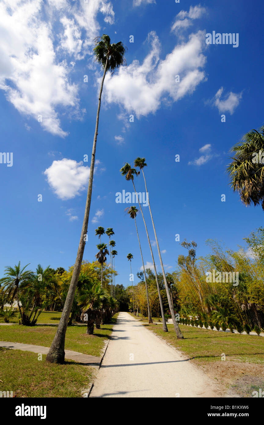 Koreshan state park florida hi-res stock photography and images - Alamy