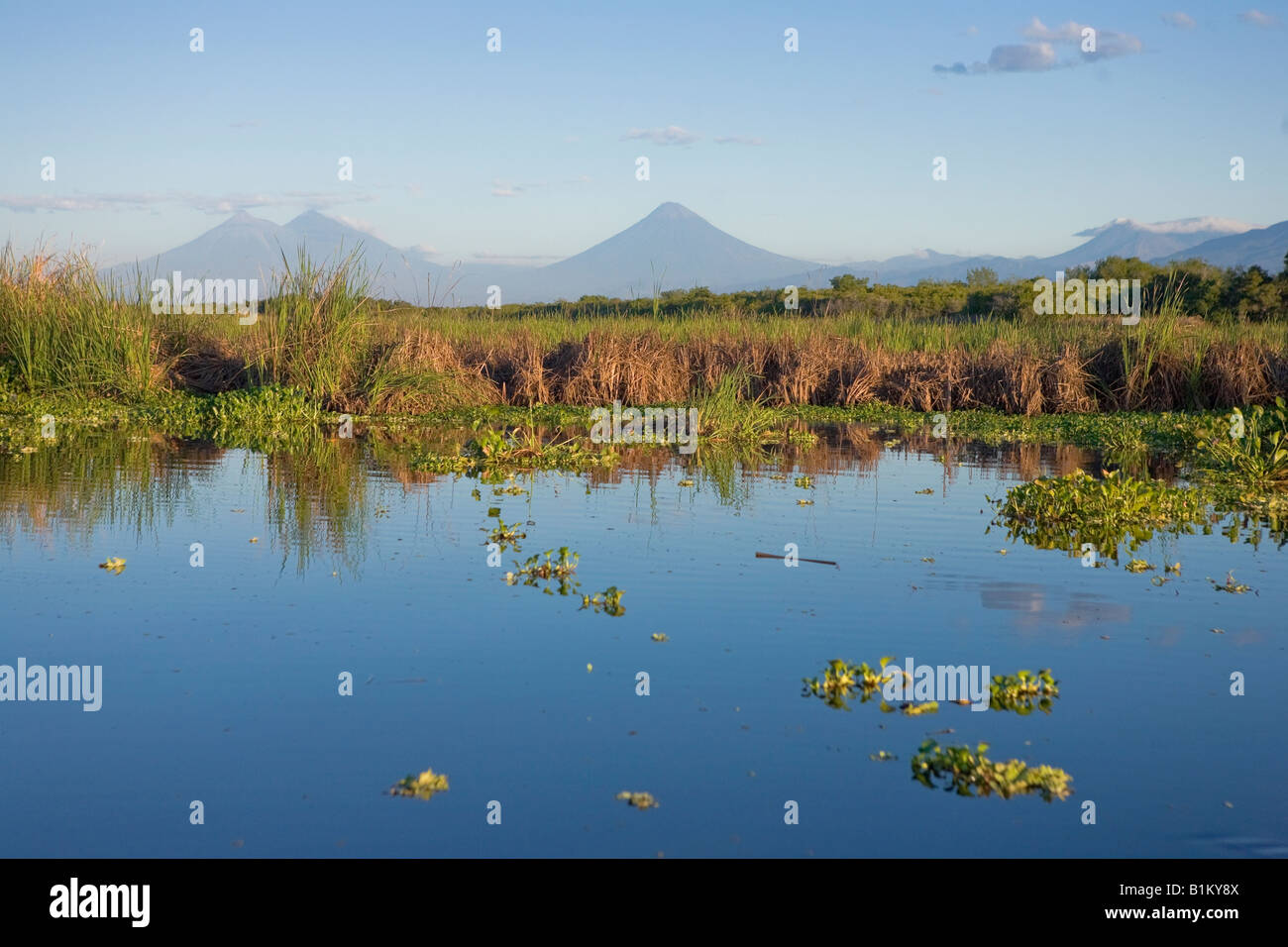 Agua and Pacaya Volcanoes Monterrico Hawaii Nature Reserve Monterrico ...