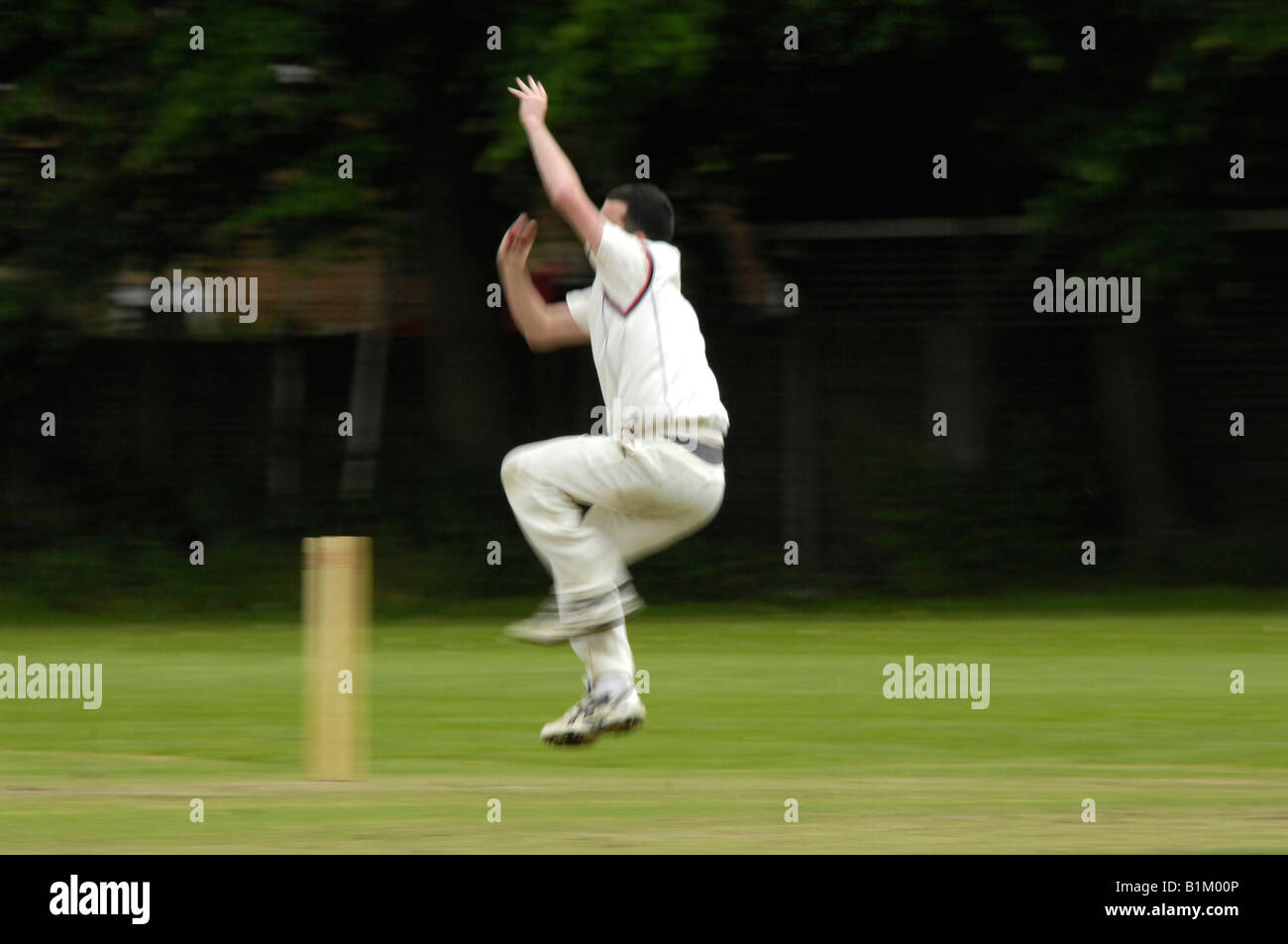 cricket bowler in action Stock Photo - Alamy