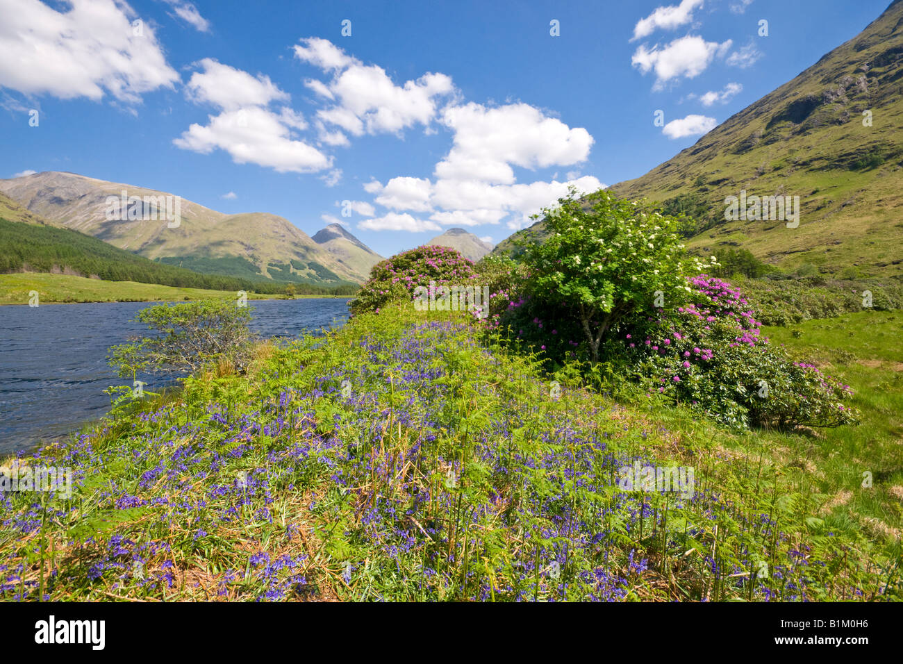 Early summer view of Glencoe hills from Glen Etive in Scotland with ...