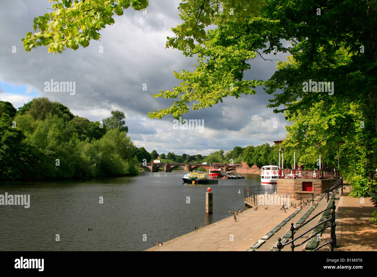 summer time by River dee flowing through the city of chester, cheshire ...