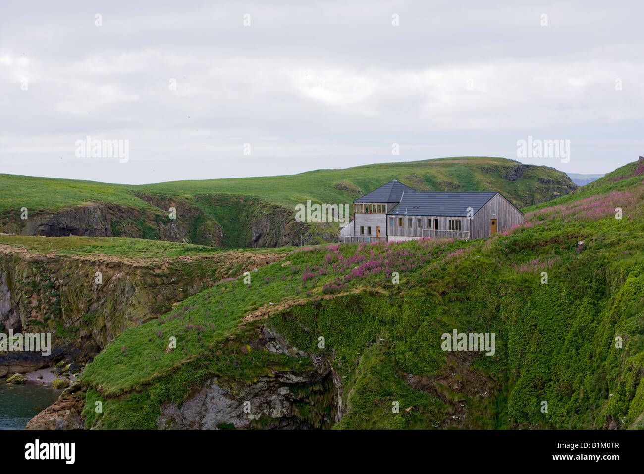 Skomer Island Warden House Stock Photo - Alamy