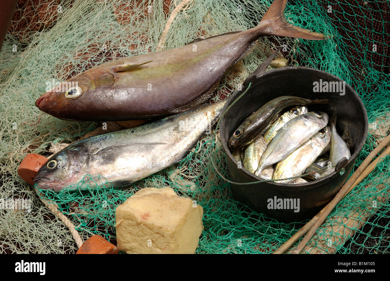 Harbour Santa Maria Cape Verde Africa Stock Photo - Alamy