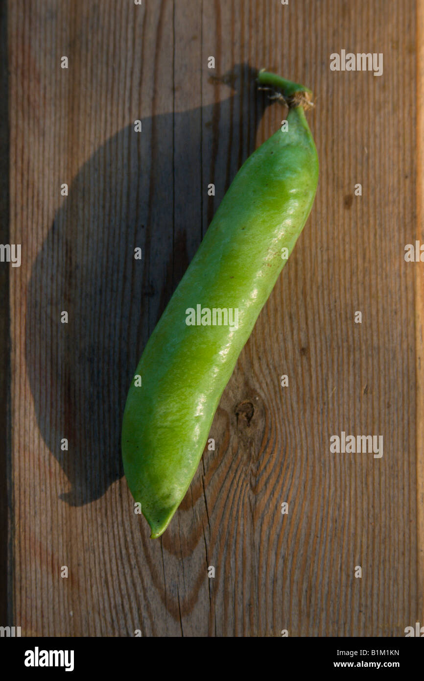 A pea pod posed on a wood table Stock Photo - Alamy