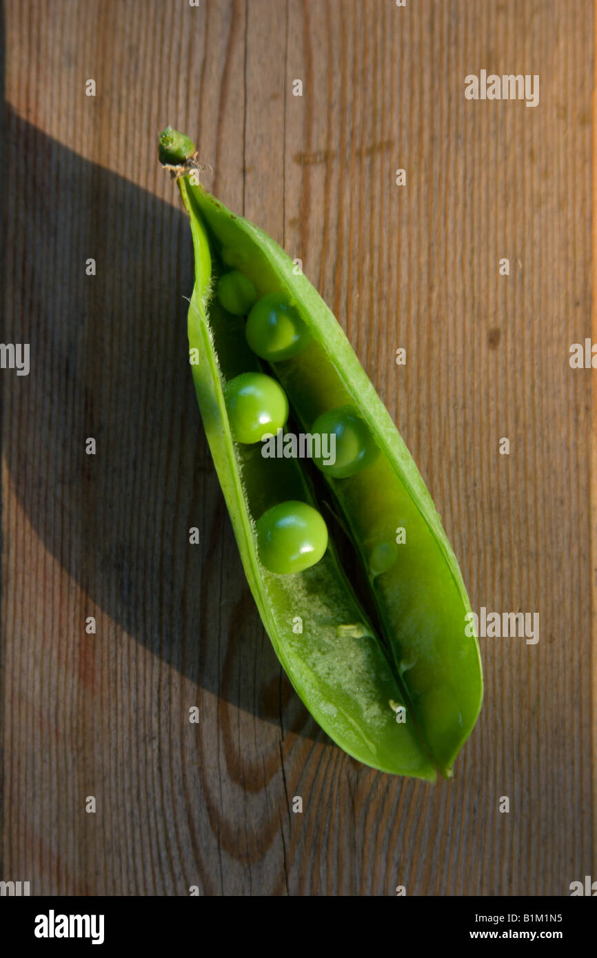 Wood pea hi-res stock photography and images - Alamy