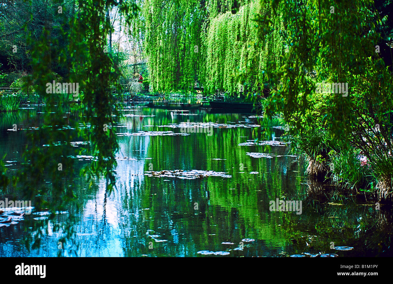 early spring in Monet s garden Giverny Stock Photo - Alamy