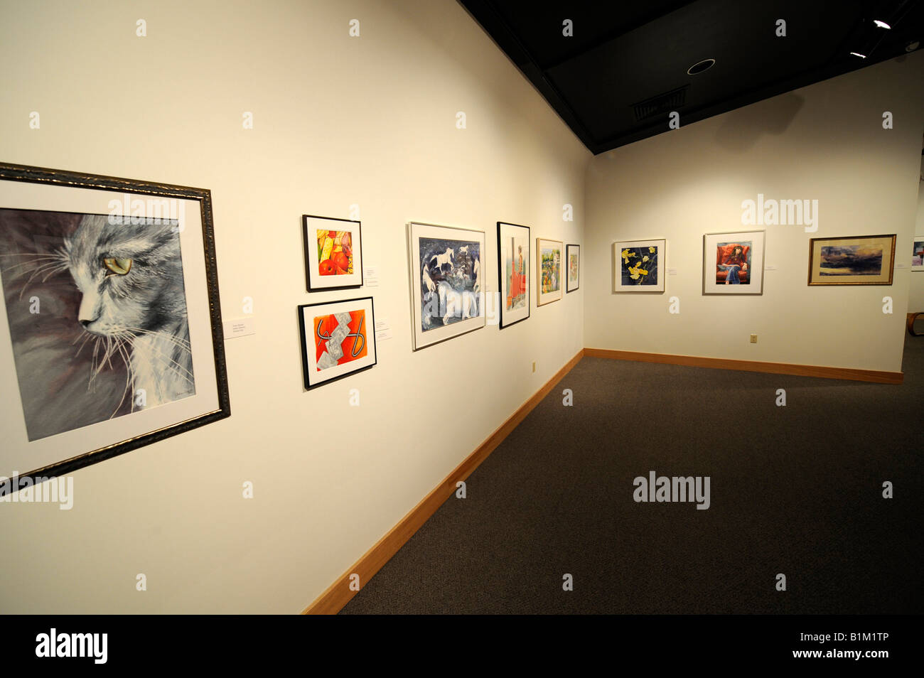 Ella W Sharp Park and Museum of Arts and History Jackson Michigan Stock ...