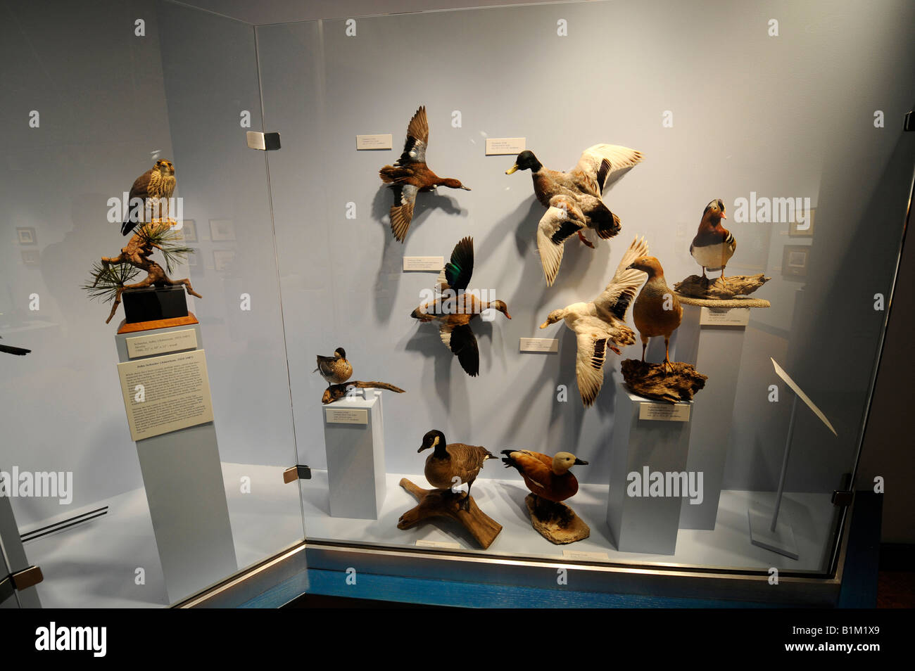 Ella W Sharp Park and Museum of Arts and History Jackson Michigan Stock ...