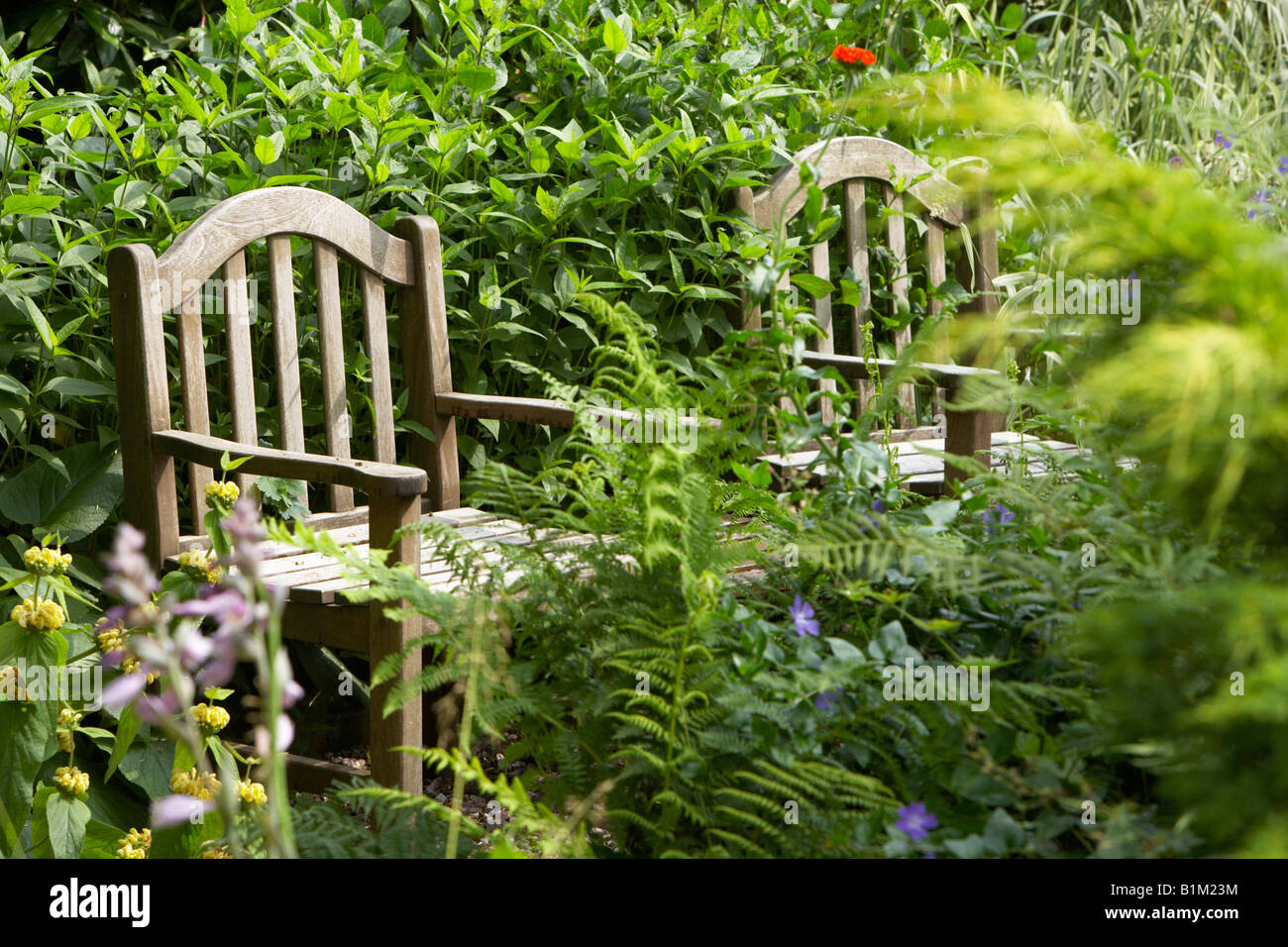 two wooden garden benches in a cottage garden Stock Photo - Alamy