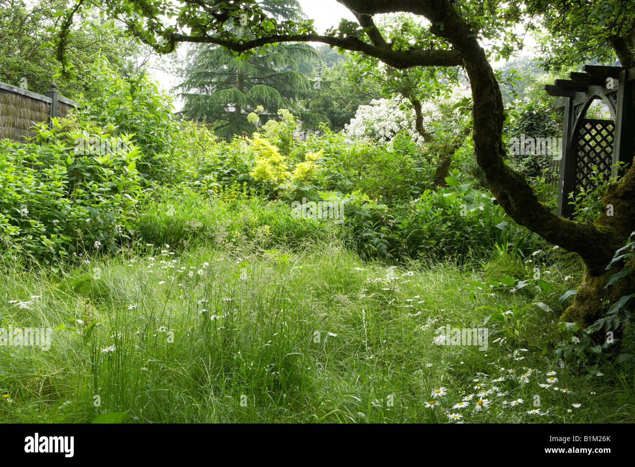 Wildlife garden hi-res stock photography and images - Alamy