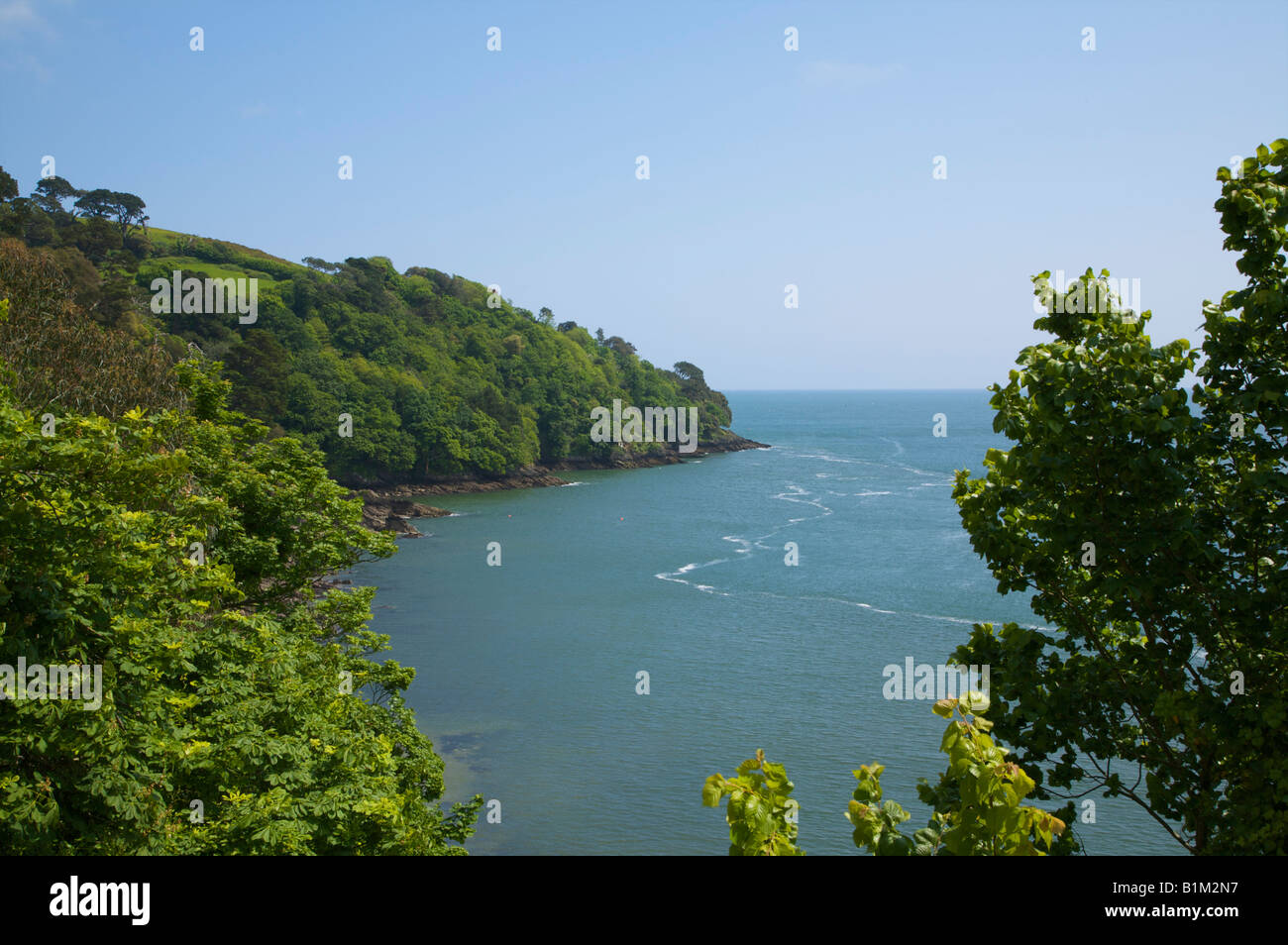 River Dart Devon Stock Photo - Alamy