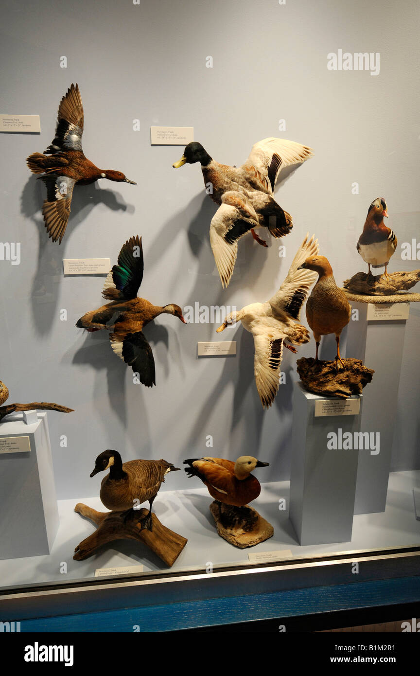 Ella W Sharp Park and Museum of Arts and History Jackson Michigan Stock ...