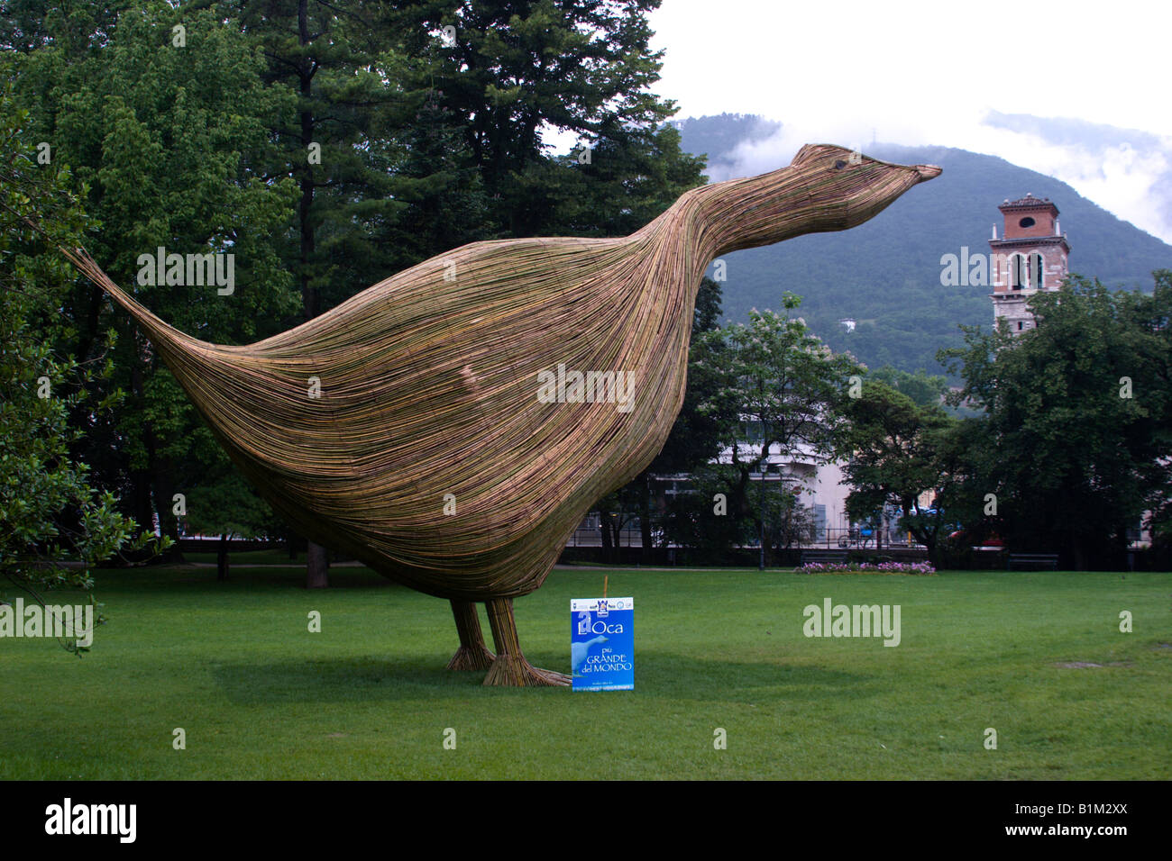 The biggest goose in the world Stock Photo - Alamy