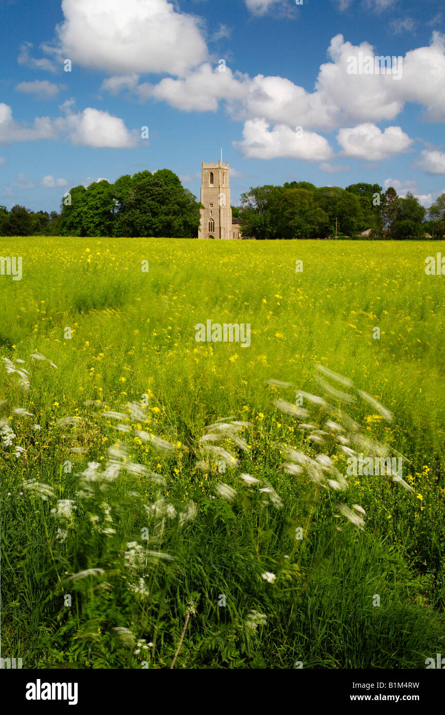 Traditional Norfolk Flint Church of St Michael All Angels Barton Turf ...
