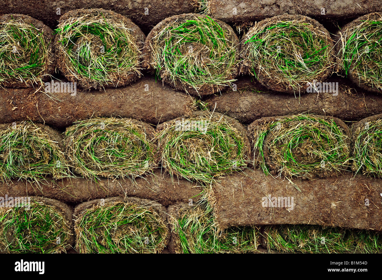 Stack of rolled grass sod or turf for lawns and landscaping Stock Photo ...