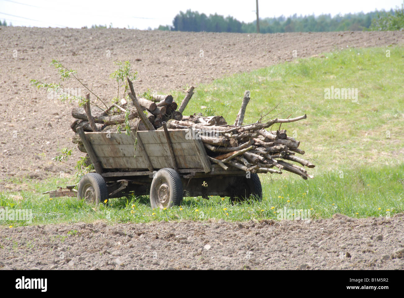 farm cart on a field Stock Photo - Alamy