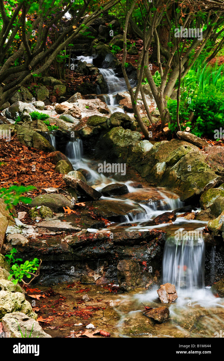 Creek with small waterfalls in japanese zen garden Stock Photo - Alamy