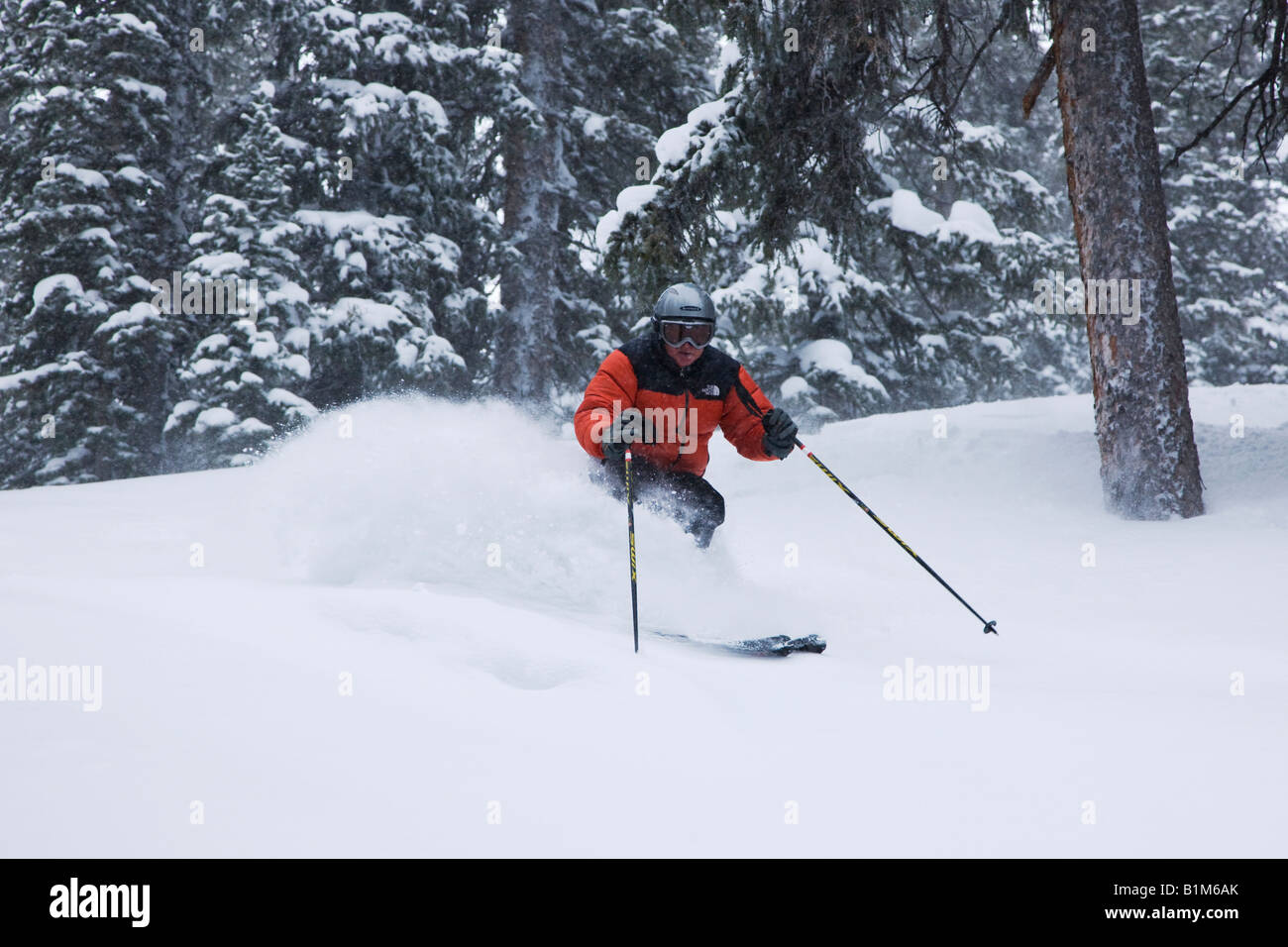 Middle age male skiing fresh powder snow at Monarch Mountain Stock ...