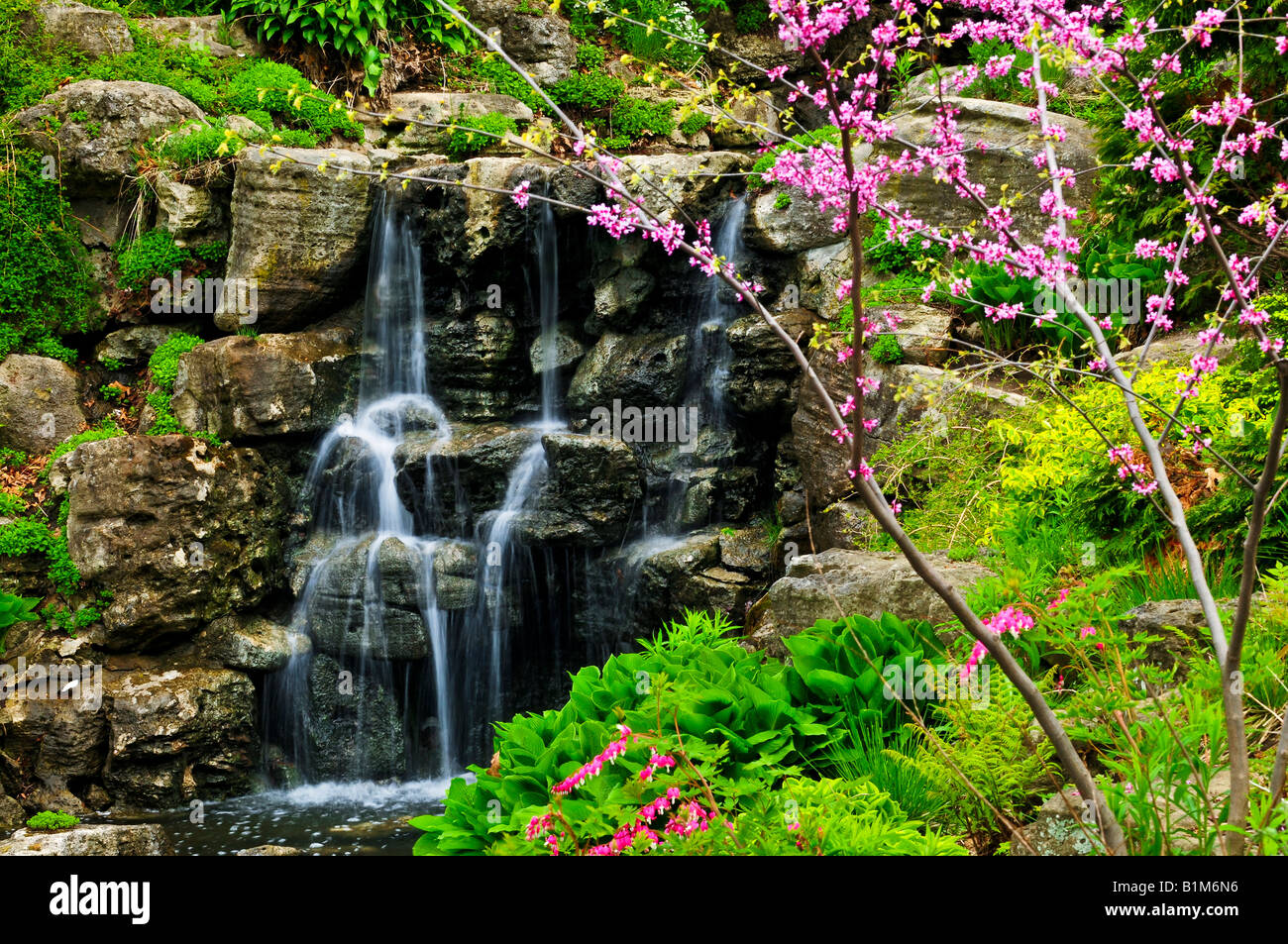 Cascading waterfall in japanese garden in springtime Stock Photo - Alamy