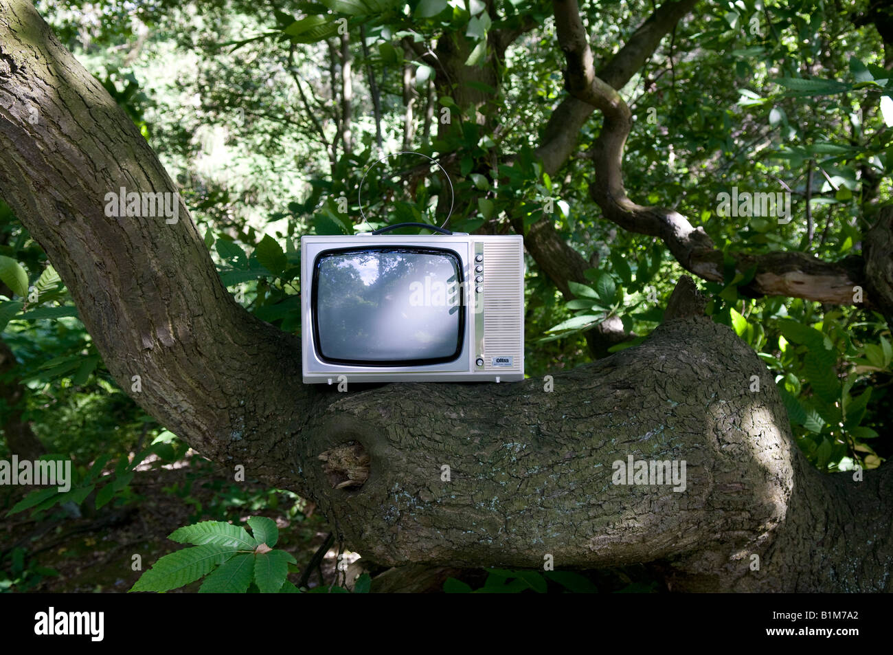 retro style portable television on tree branch Stock Photo - Alamy